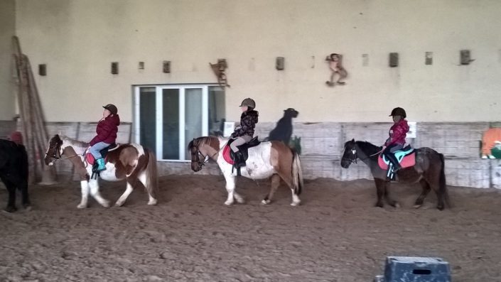 Installations – Centre equestre la prairie